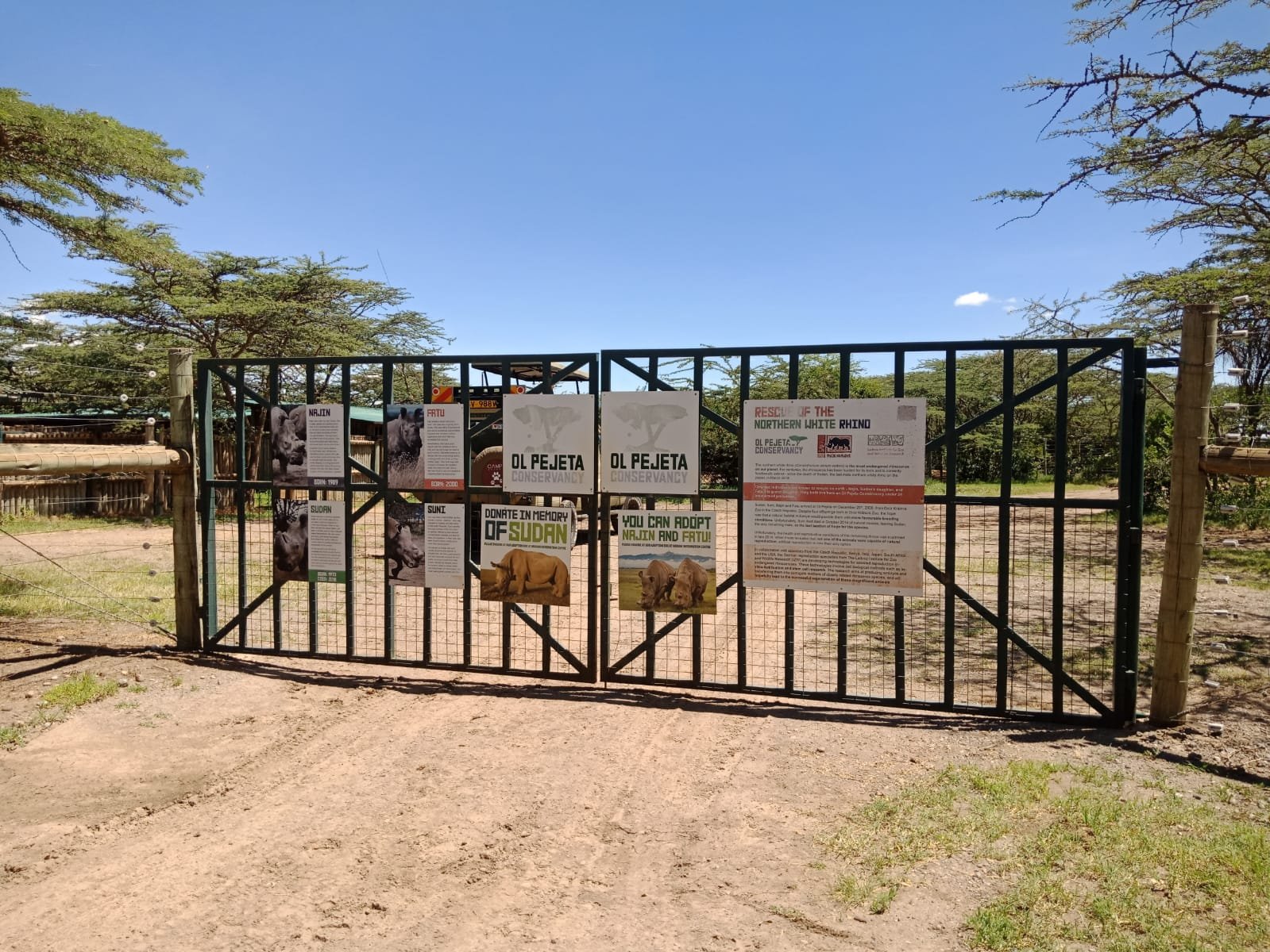 Ol Pejeta Conservancy - Campo EA Safaris
